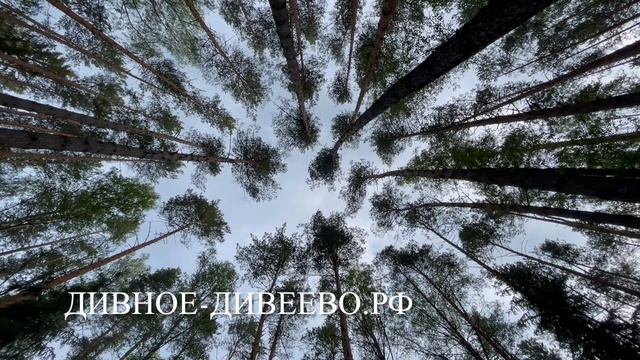 Звуки на Серафимовых камнях (ближний камень батюшки Серафима) в саровском лесу, запись 7 июня 2025