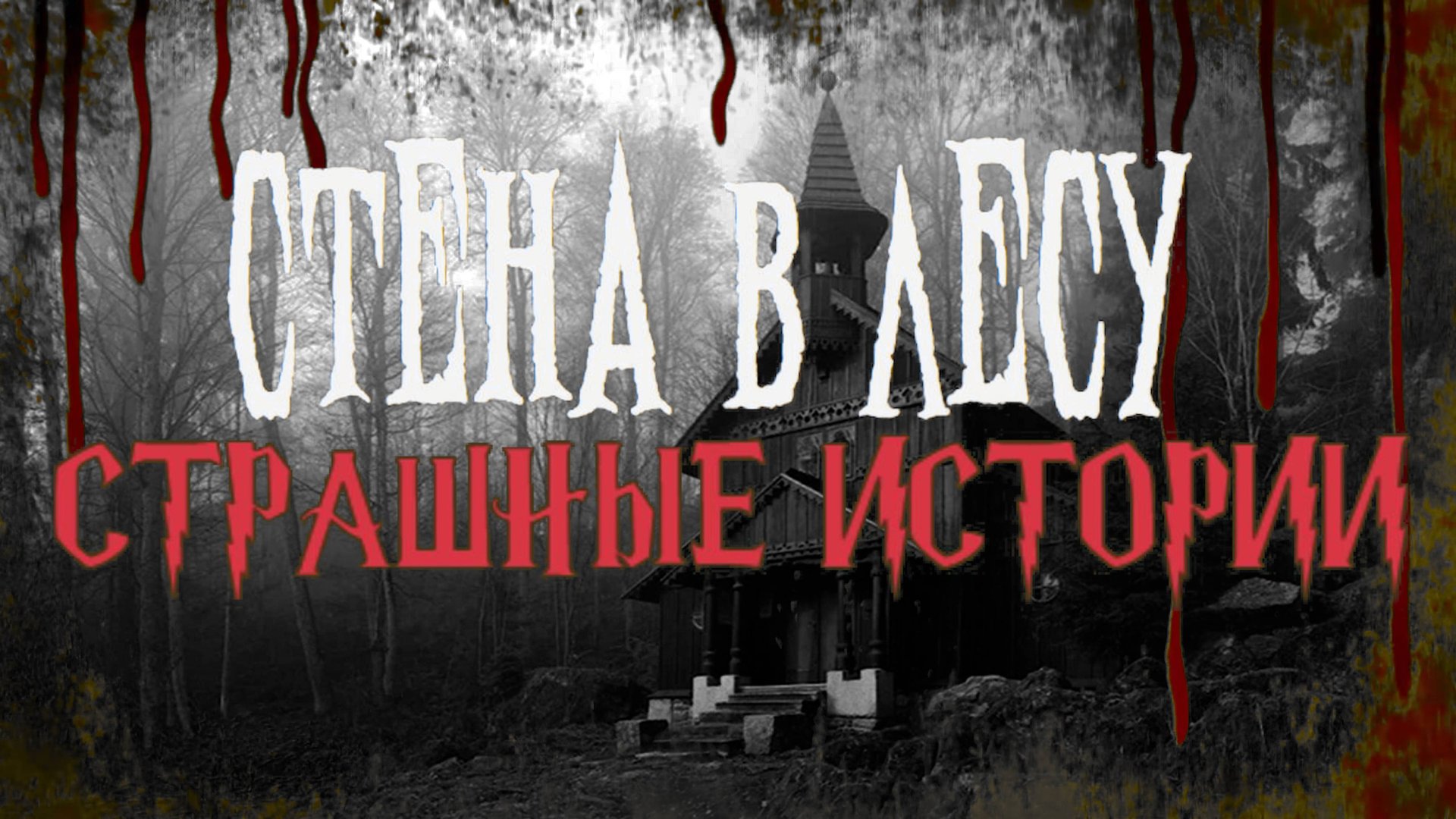 СТРАШНЫЕ ИСТОРИИ НА НОЧЬ | Стена в лесу | СТРАШИЛКИ НА НОЧЬ