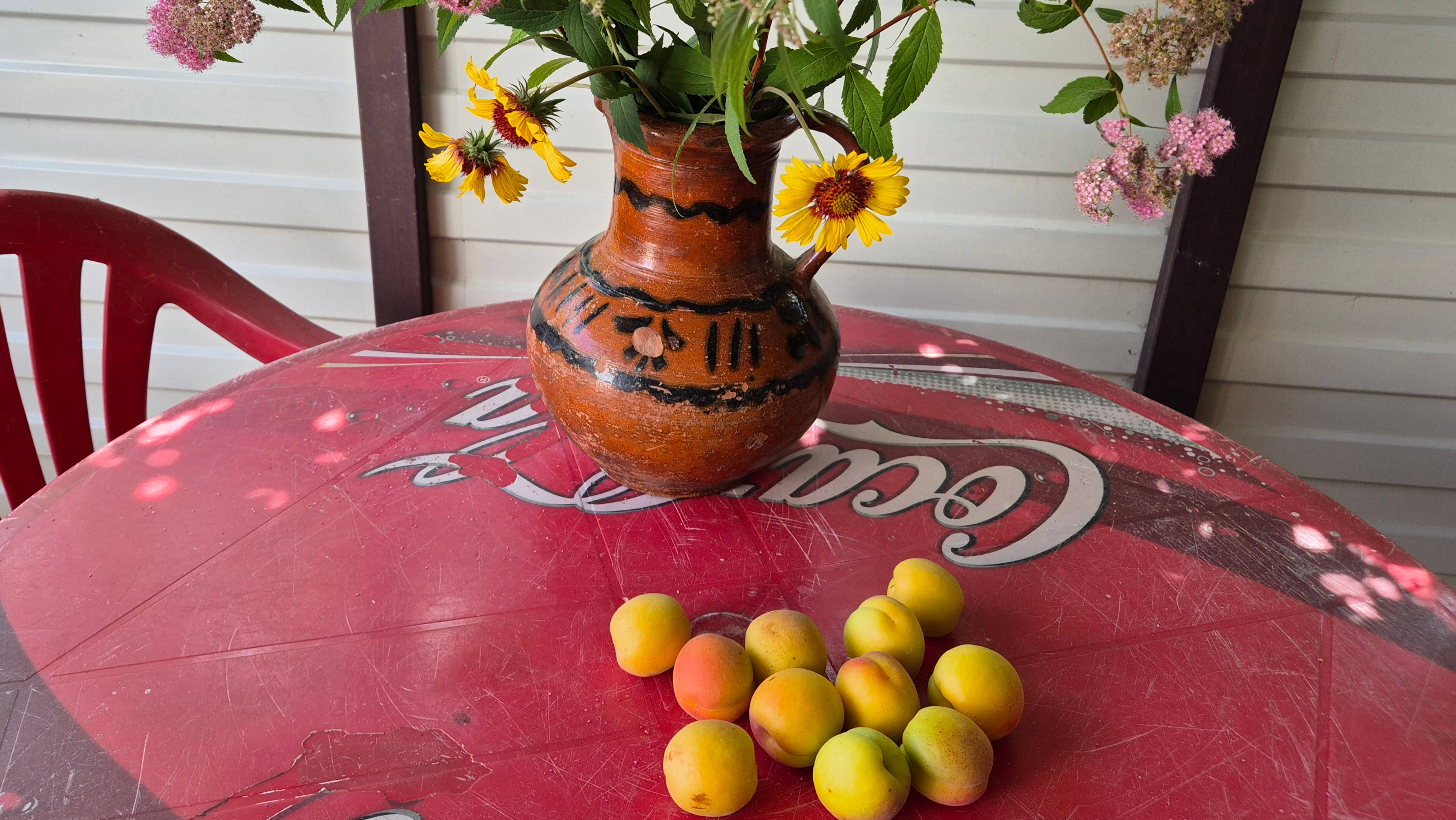 На даче 7 июня // первые абрикосы // жара // полив и подкормки.