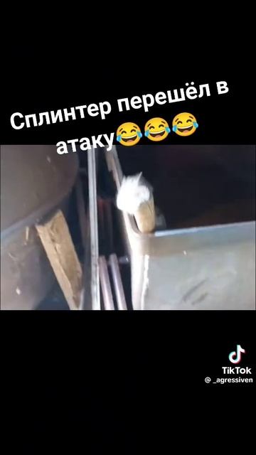 Ух этот Сплинтер😅