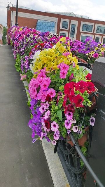 Украшение цветами Третьяковского моста в Москве