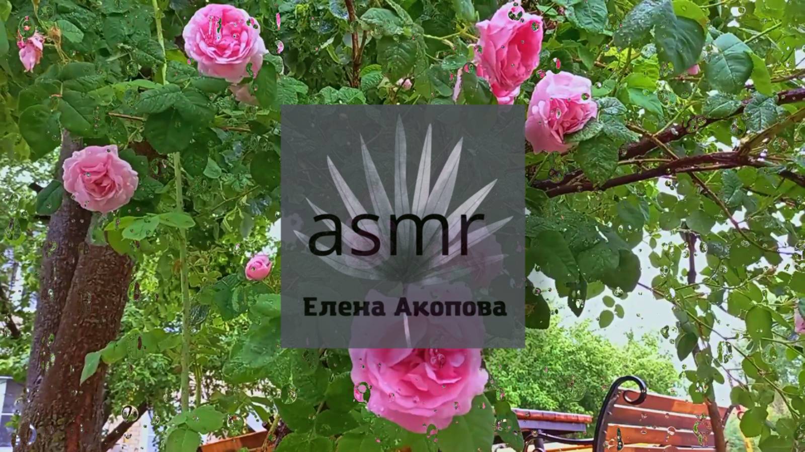 АСМР. Уютный уголок двора. Дождь