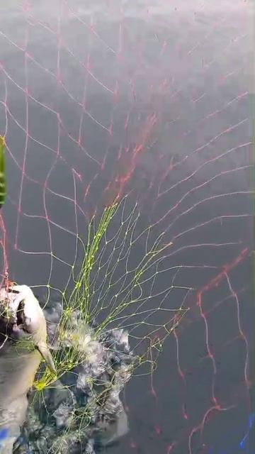 Евгению, спасибо за отчет 😎