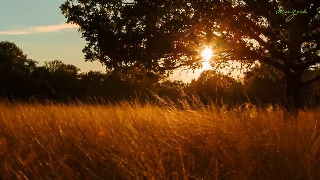 Релаксация "Спокойствие и умиротворение"