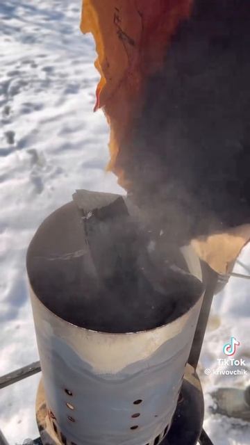 Шашлык из карпа и грибов