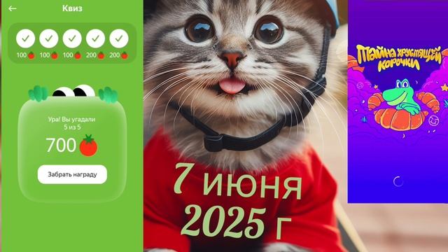 Квизы 7 июня Едадил