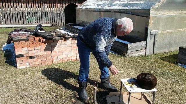 Удачная прививка за кору у друзей