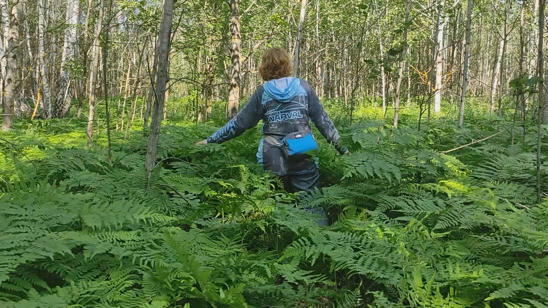 В разведку за грибами
