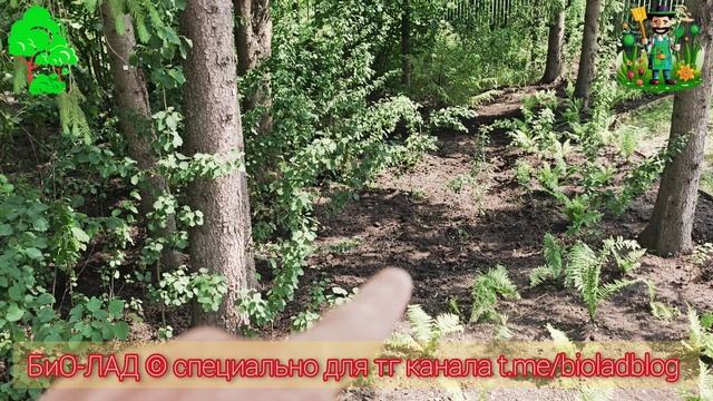 Зафиналили еще один 🤜🤛