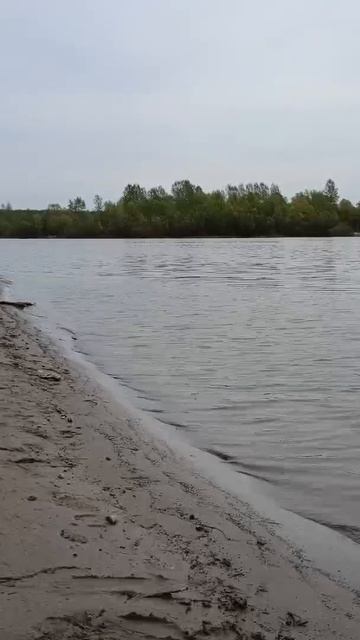 ЗАЛИВ НА ЗВЁЗДНОЙ