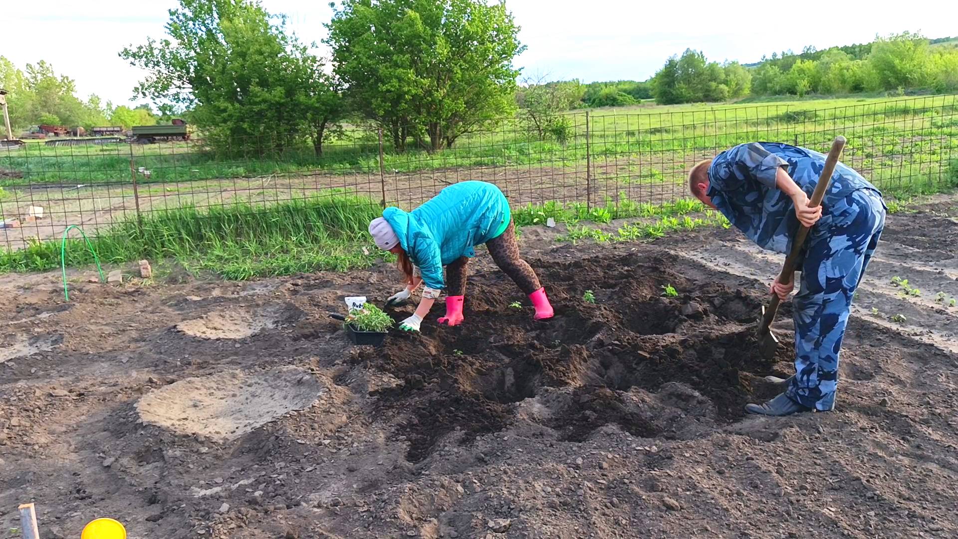 ЗАГОРОДНАЯ ЖИЗНЬ. НАВЕЛИ ПОРЯДОК В КЛУБНИКЕ. САЖАЕМ РАССАДУ В ОГОРОД.