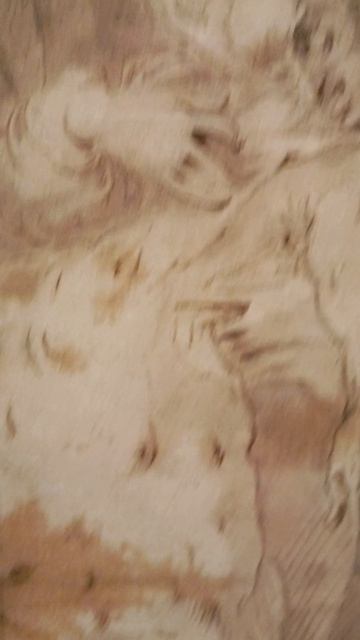 Жак Шарль де Белланж. Оплакивание. Около 1610. Перо, кисть.