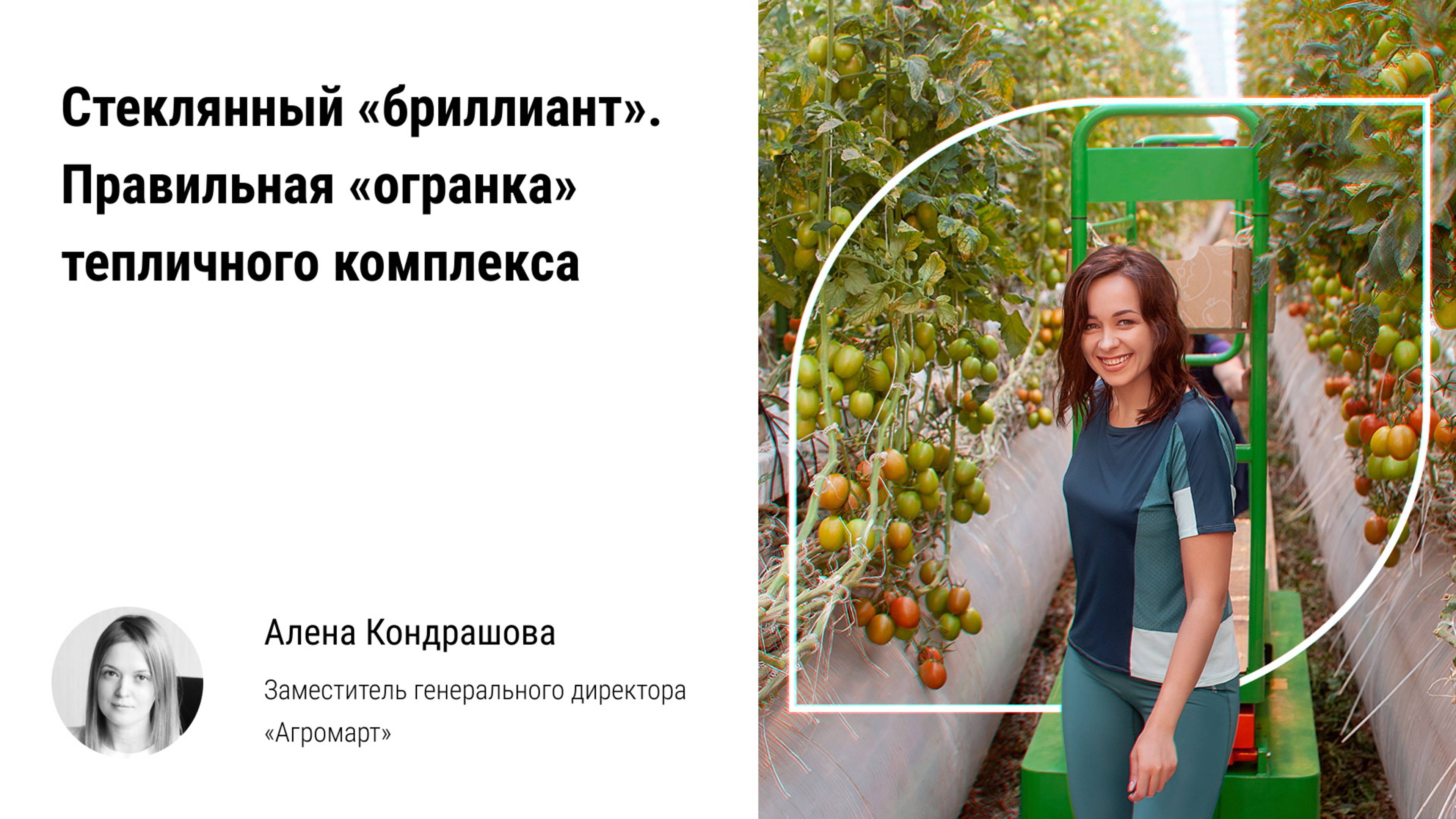 🏃 Стеклянный «бриллиант». Правильная «огранка» тепличного комплекса. Диффузионное стекло теплицы