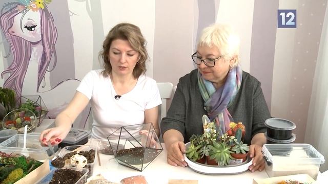 Домашние идеи: флорариум