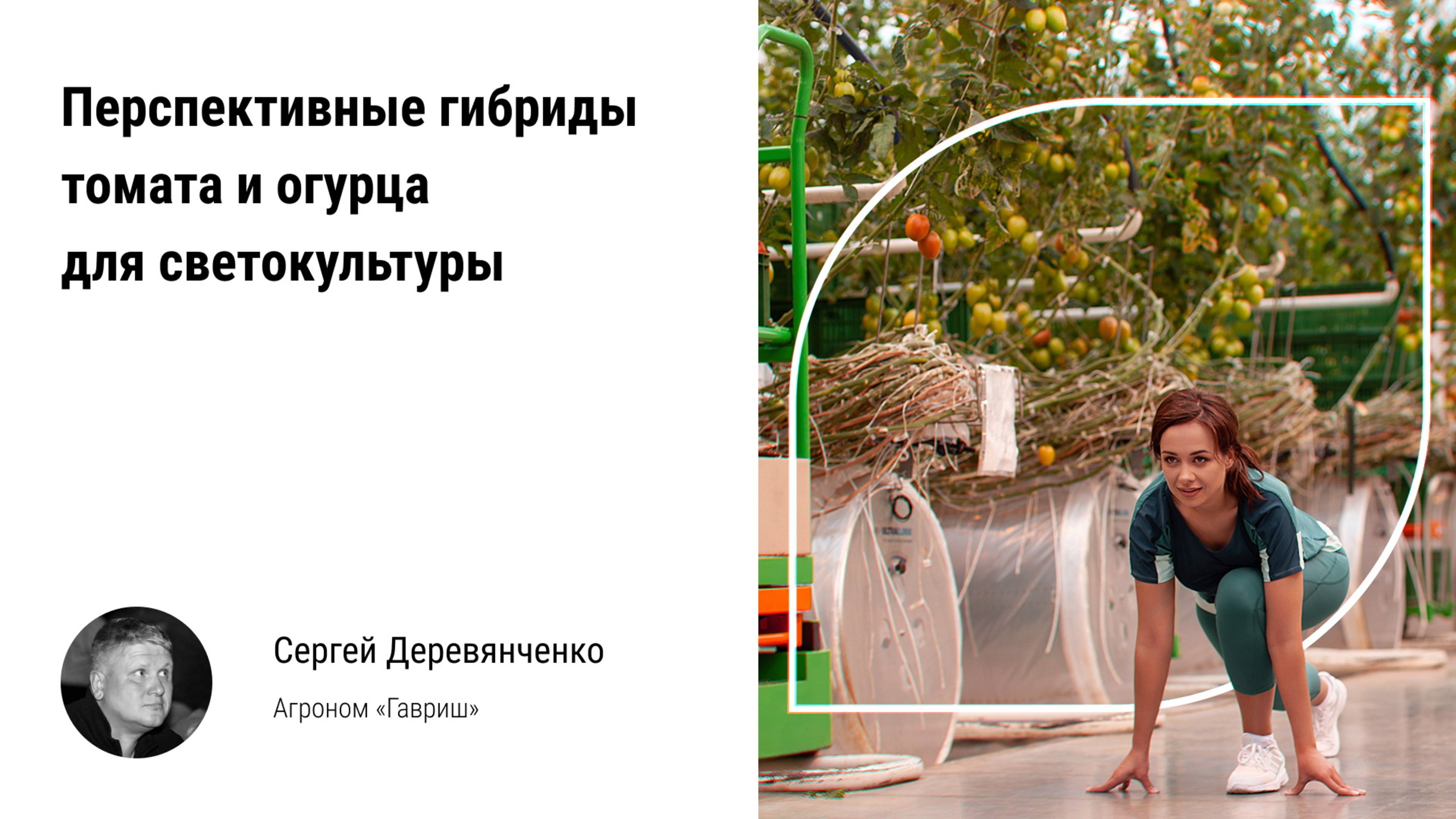 🏃 Перспективные гибриды томата, огурца для светокультуры. Профессиональные семена для теплиц России