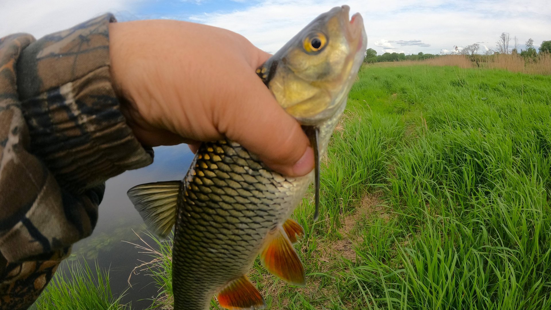 РЫБАЛКА В БЕЛАРУСИ. НАША ЦЕЛЬ-ЛОБАСТЫЙ ГОЛАВЛЬ.