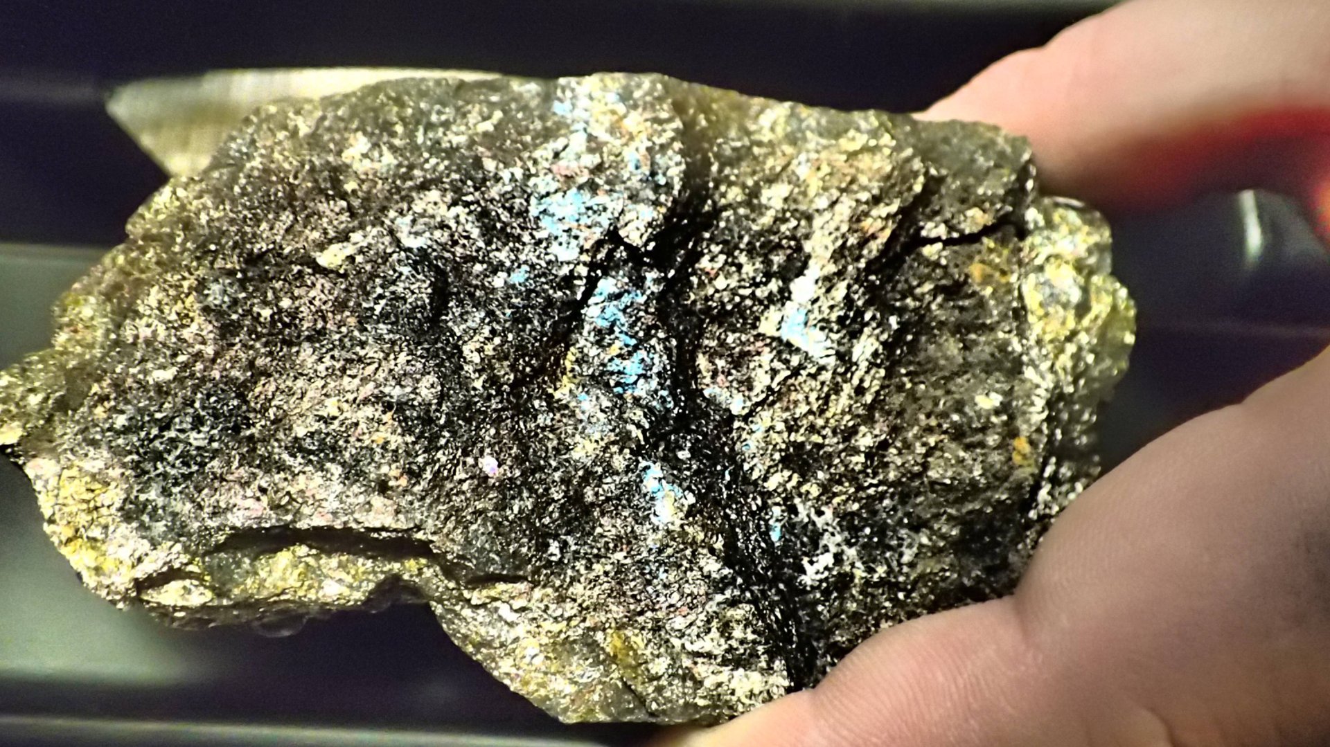 Норильск 2025. В гостях у коллекционера камней