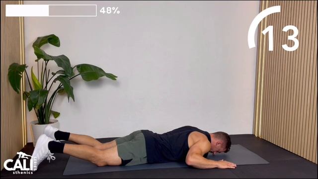 30 Min NO EQUIPMENT BACK WORKOUT _ Calisthenics Series _ Day 10