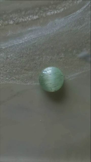 Кабошон берилла с эффектом кошачьего глаза