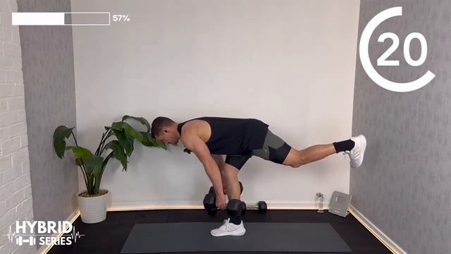 30 Min DUMBBELL FULL BODY WORKOUT _ Muscle Isolation _ 18 of Hybrid Series