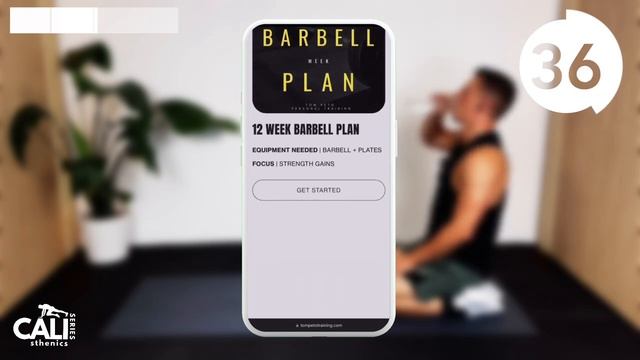 30 Min CALISTHENICS CORE WORKOUT _ Day 8