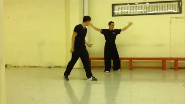 Хай Ян «Дракон, трясет чешуей» и «Форма крокодила» из синъицюань