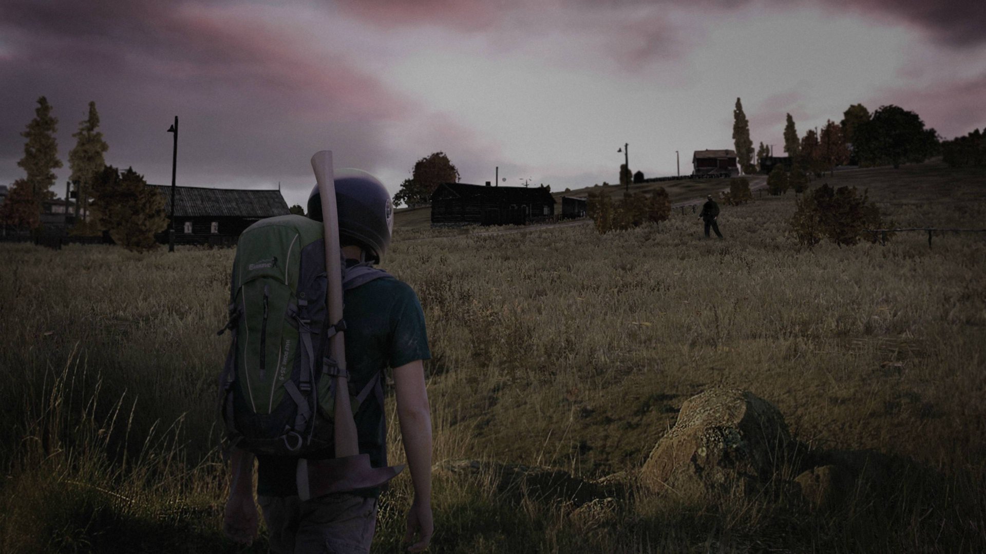 Dayz №9