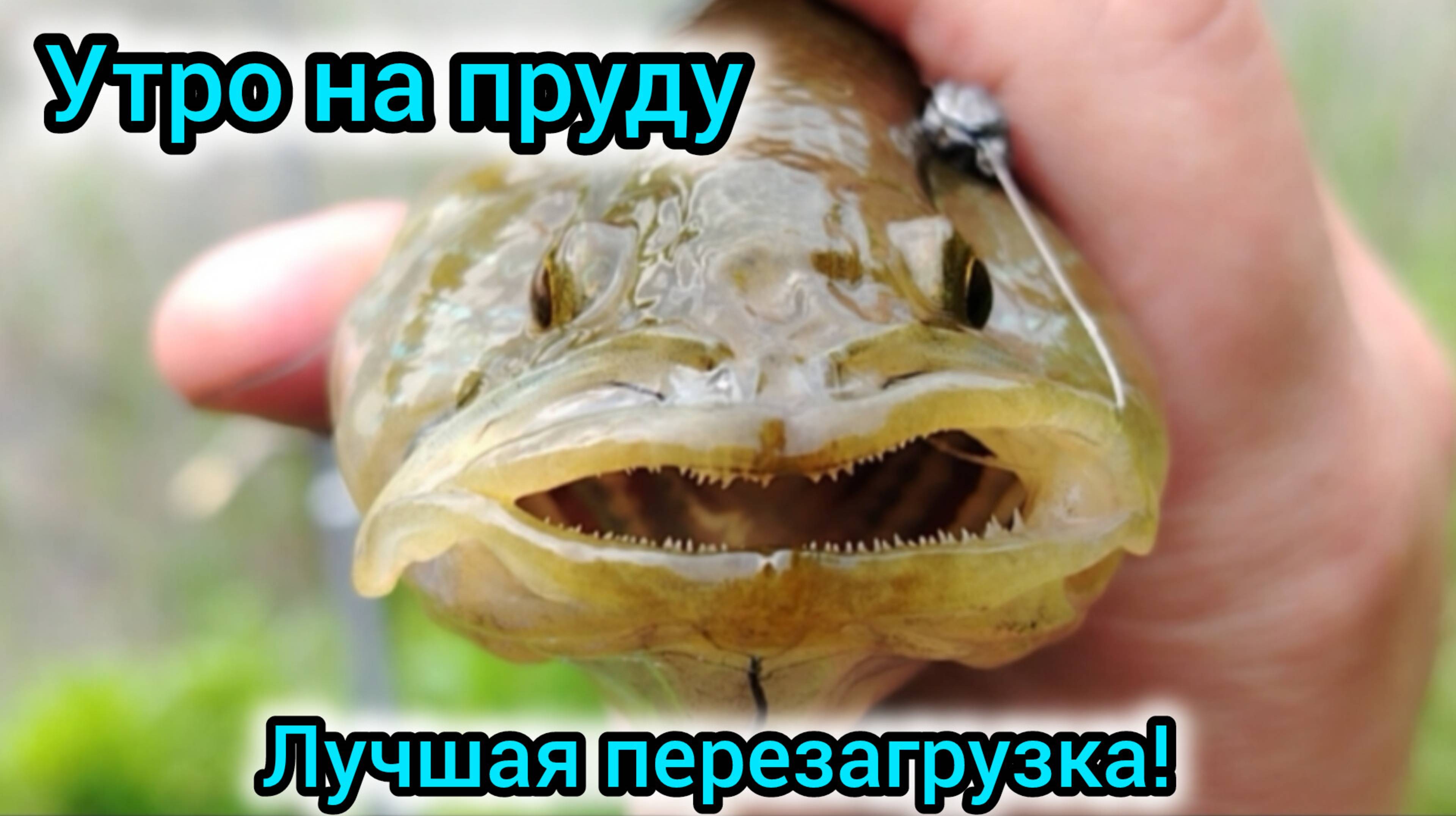 Рыбалка утром. Райская природа!