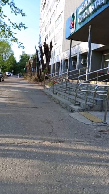 горселенхоз обрезал деревья