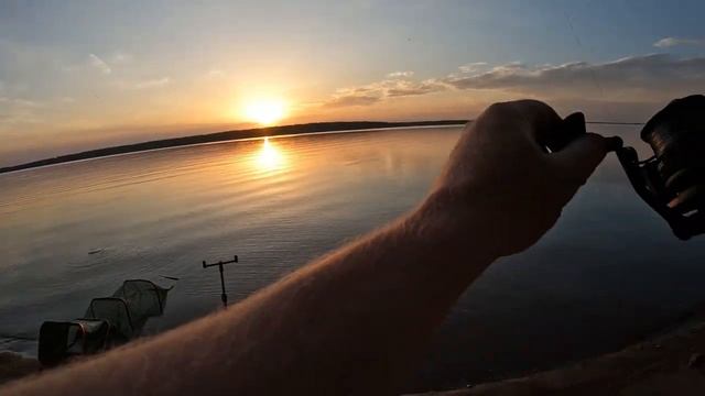 🌙 Фидерная рыбалка с НОЧЕВКОЙ: Трофеи, костер и романтика! (Поймали леща на 3 кг!)