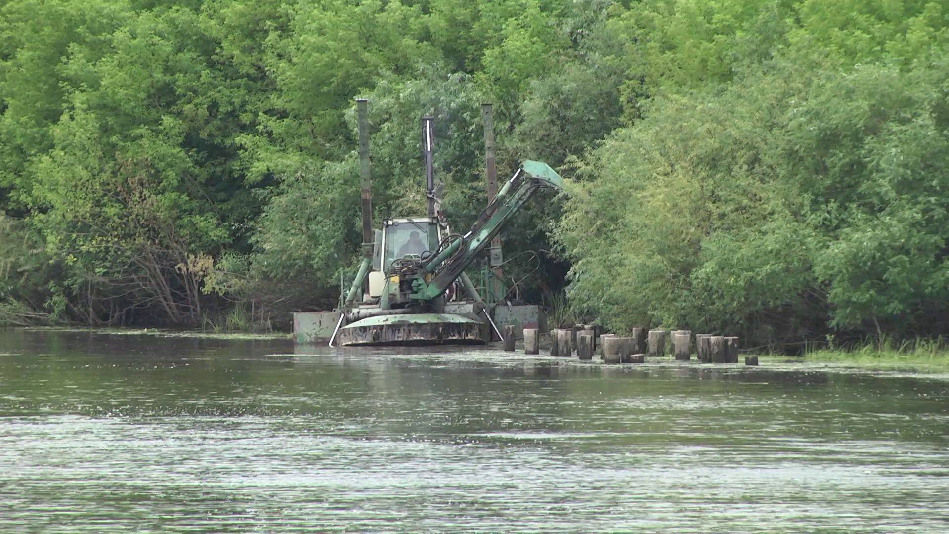 В Шадринске стартовали работы по расчистки русла реки Исеть (2025-06-08)