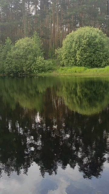 (6) Евангелие от Матфея глава 6 стих 25-34