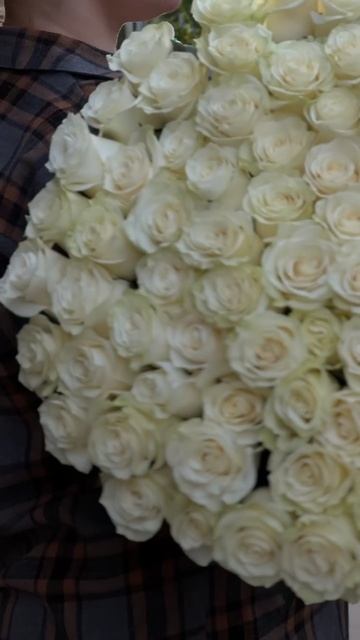 Белая роза сорт «Мондиаль» (Эквадор) доставка Саратов, Энгельс, курьер