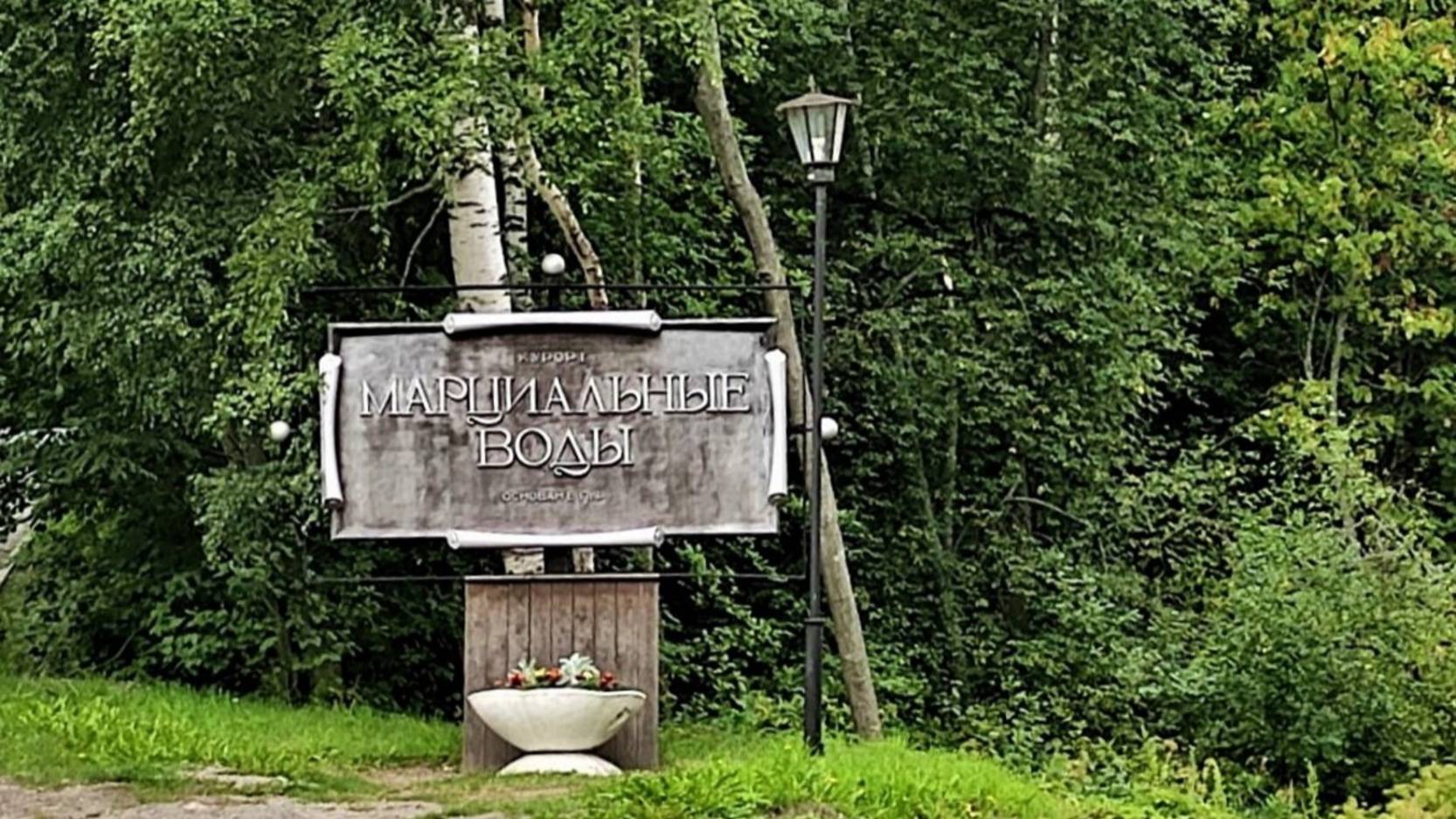 "Марциальные воды" на шунгитовом пласте в Карелии