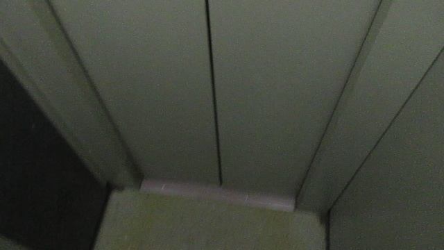 Лифт Ecomaks-(ЩЛЗ) @ М.О. г. Красногорск, Ильинское шоссе, д. 4-3 (12)