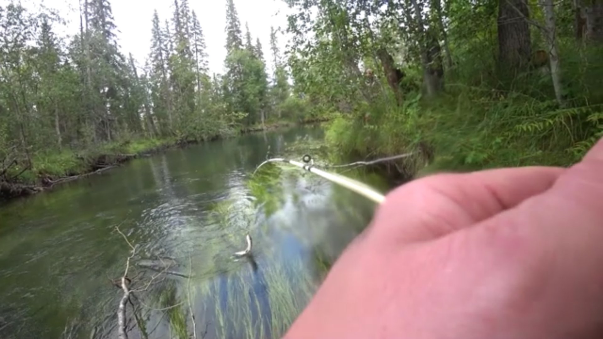 Рыбалка. Ловим хариуса в тайге на самодельную снасть.