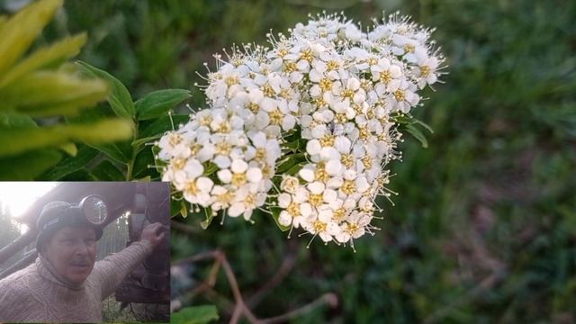 Рассказ отца #1