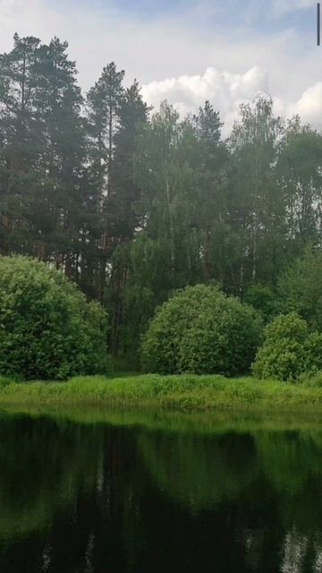 (5) Евангелие от Матфея глава 6 стих 19-24