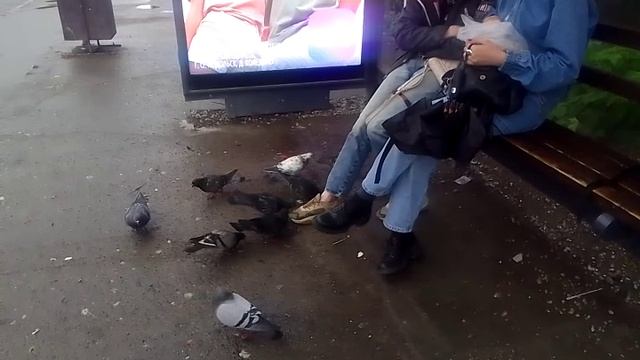 У природы нет плохой погоды/ ост. Метро Студенческая/ Новосибирск/08.06.2025❤