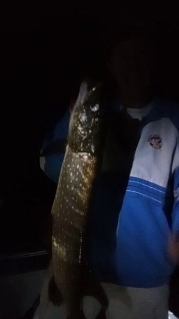 Моя первая крупная щука