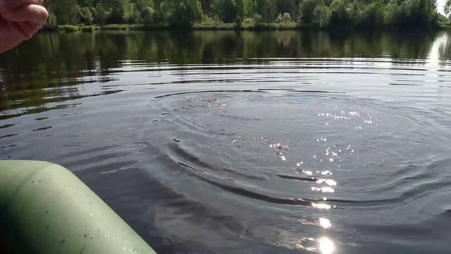 Вилюйский КРОКОДИЛ или трофейная щука, пойманная без подсачека