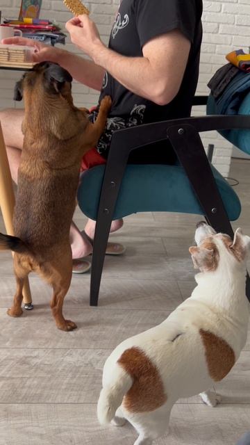 Наглость просто зашкаливает 😂