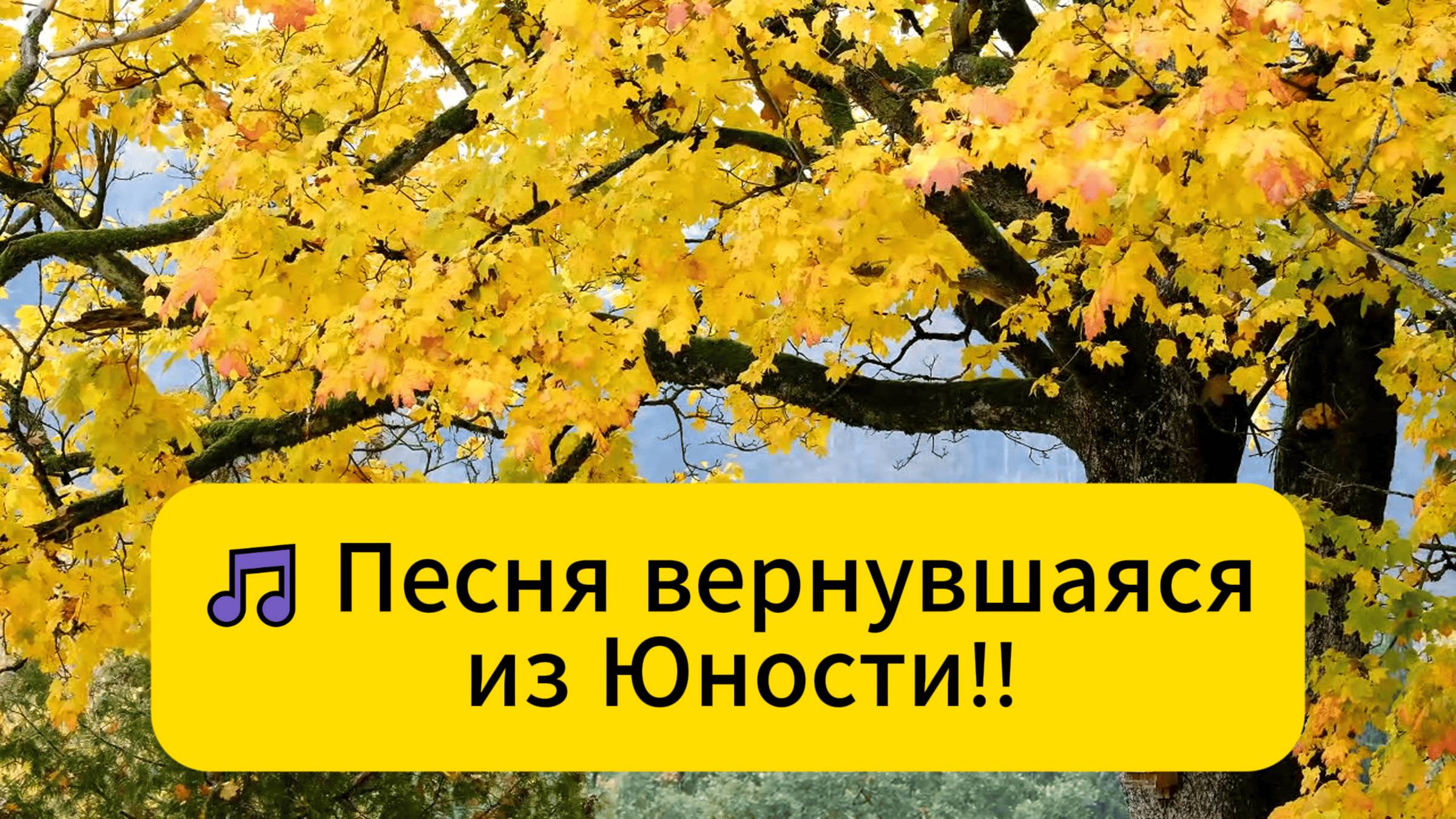Песня вернувшаяся к нам из Юности!!♥ Веет на опушке летний ветерок!