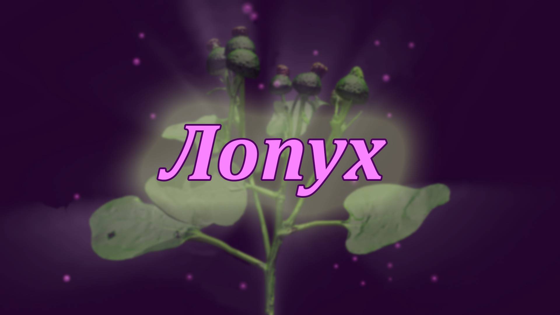 Лечебная сила лопуха