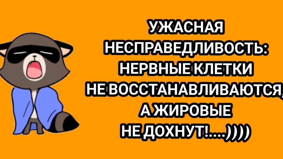 Новые анекдоты.Юмор для души.