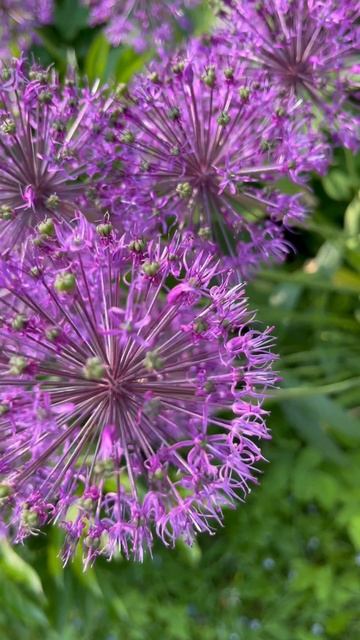 У кого заботы, а у кого релаксация