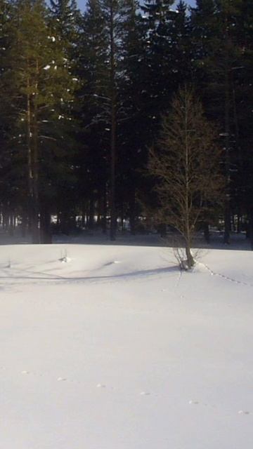 (11) Евангелие от Матфея глава 10 стих 34-42