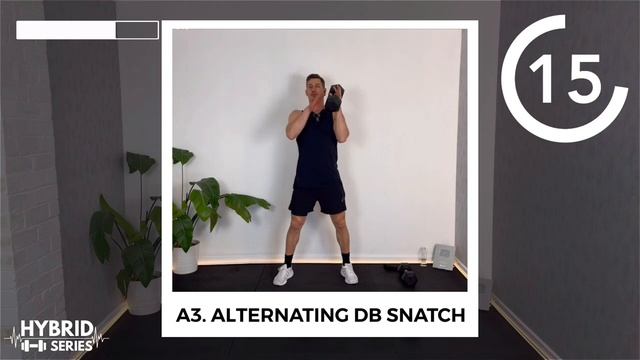 20 Min FULL BODY DUMBBELL HIIT WORKOUT _ 2 of Hybrid Series