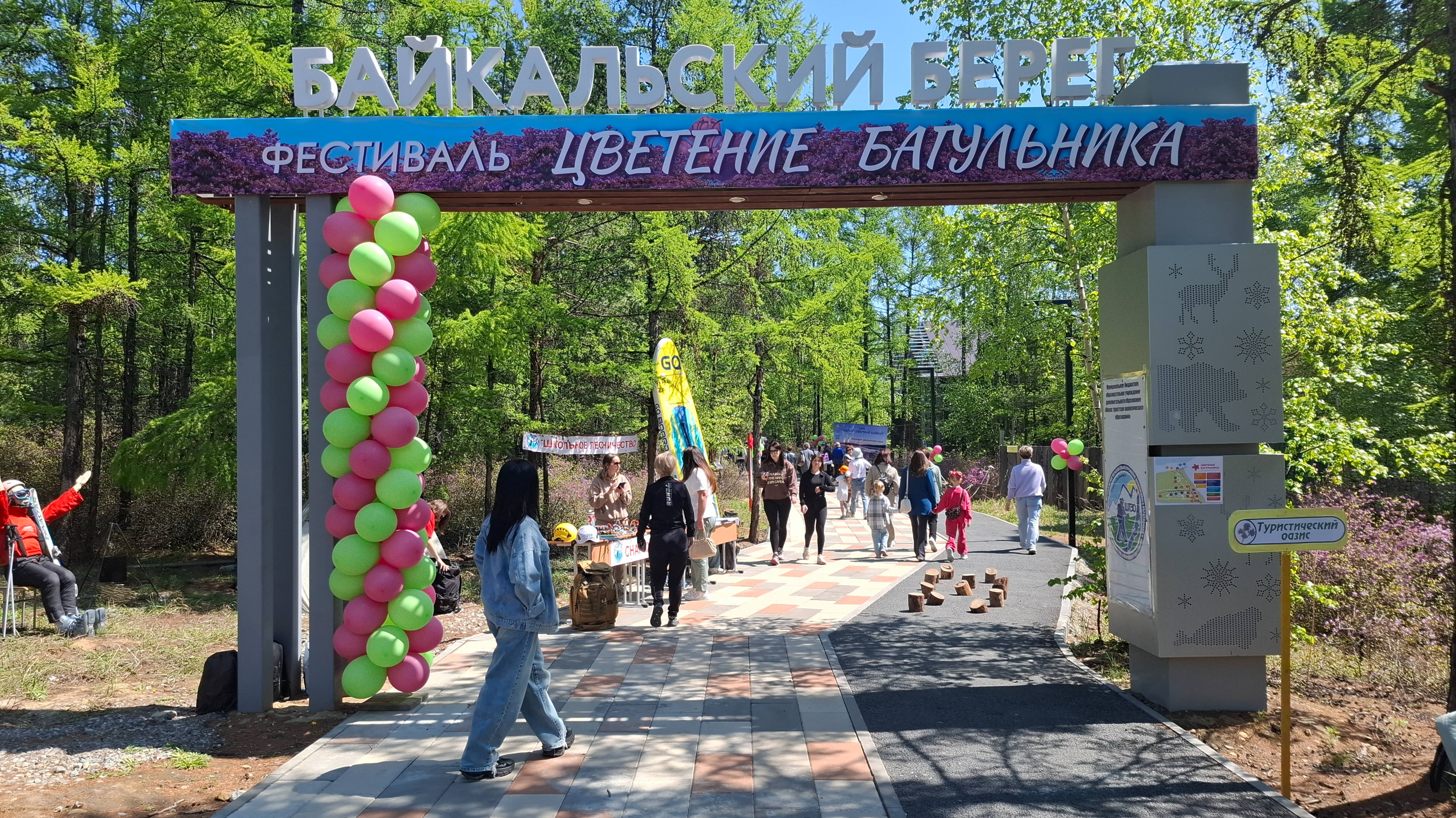 Цветение багульника