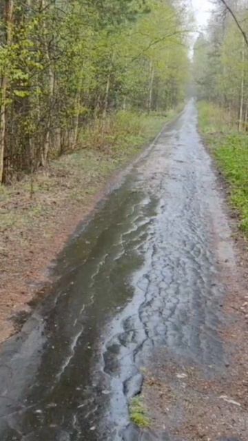 (13) Евангелие от Матфея глава 11 стих 11-15 и 25-30